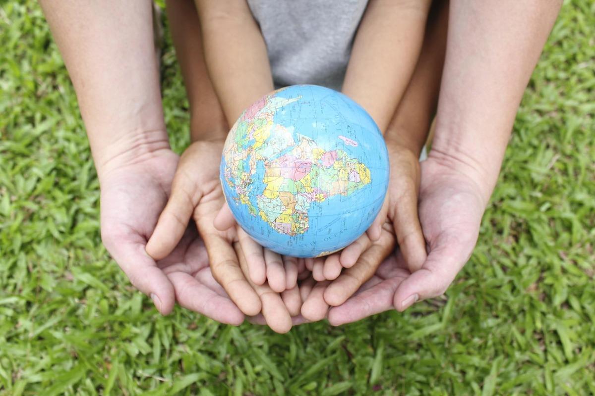 Qu'est-ce que l'environnement - Définition et résumé