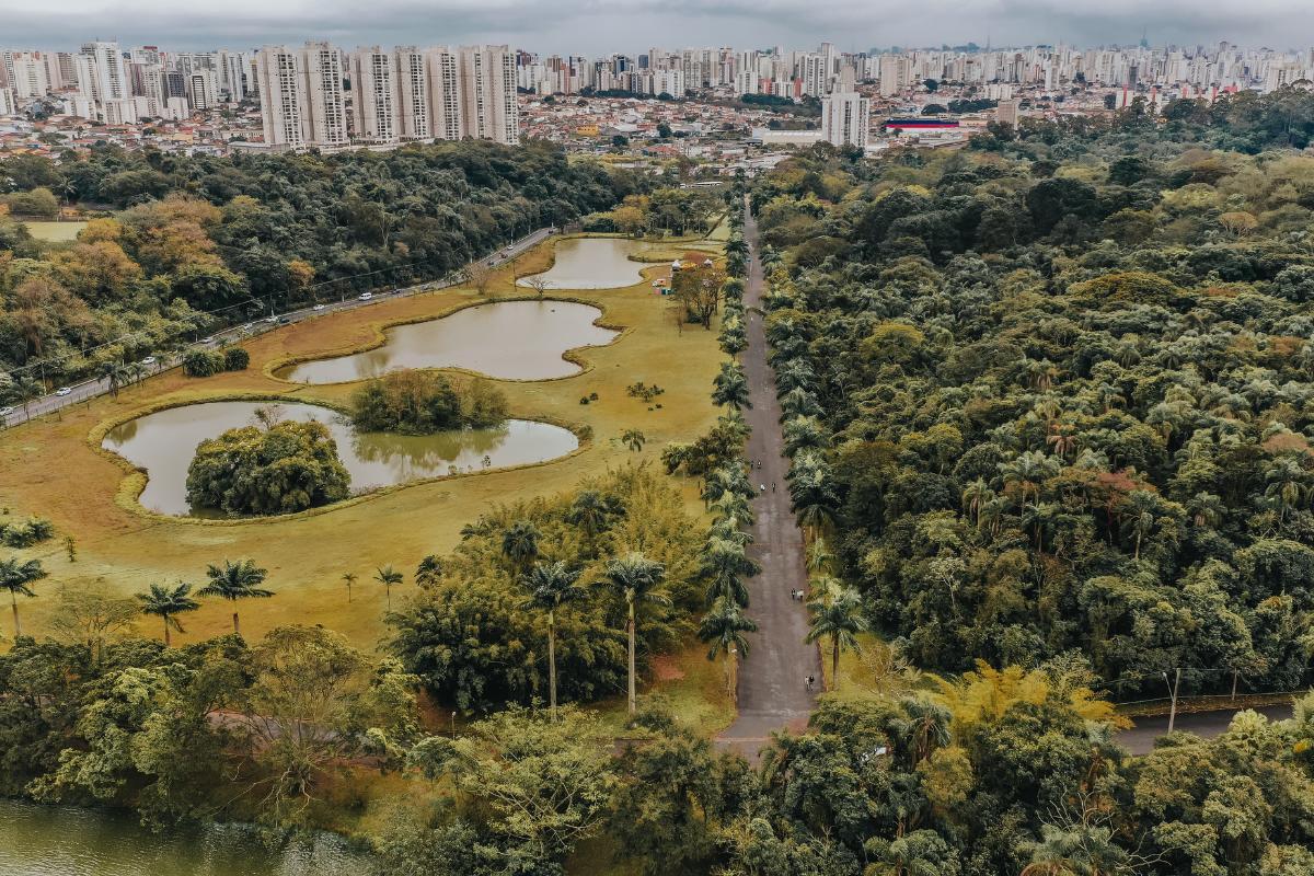 Forêts urbaines : définition et importance