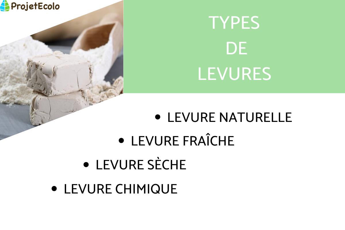LEVURES : Définition, types, exemples et utilisation