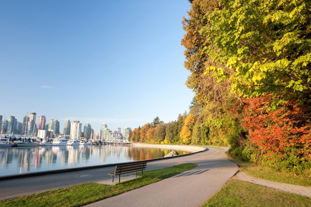 Ville verte : définition et liste