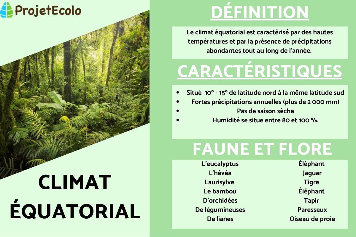 Climat équatorial : Définition, caractéristiques, flore et faune