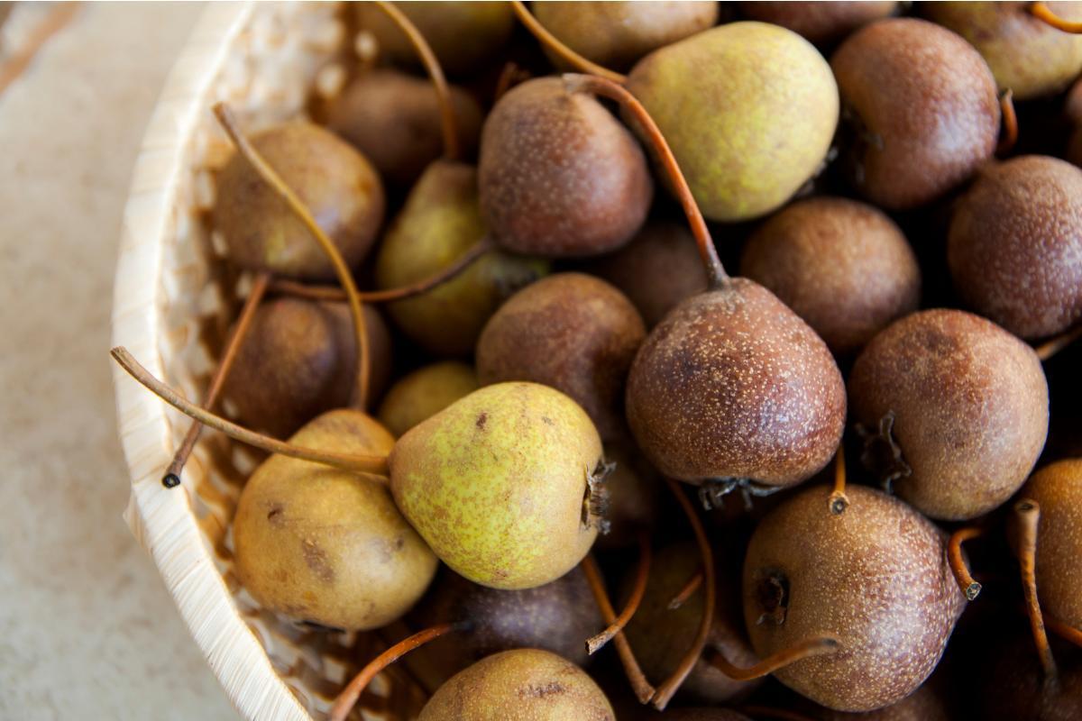 8 variétés de poires - Noms de poires