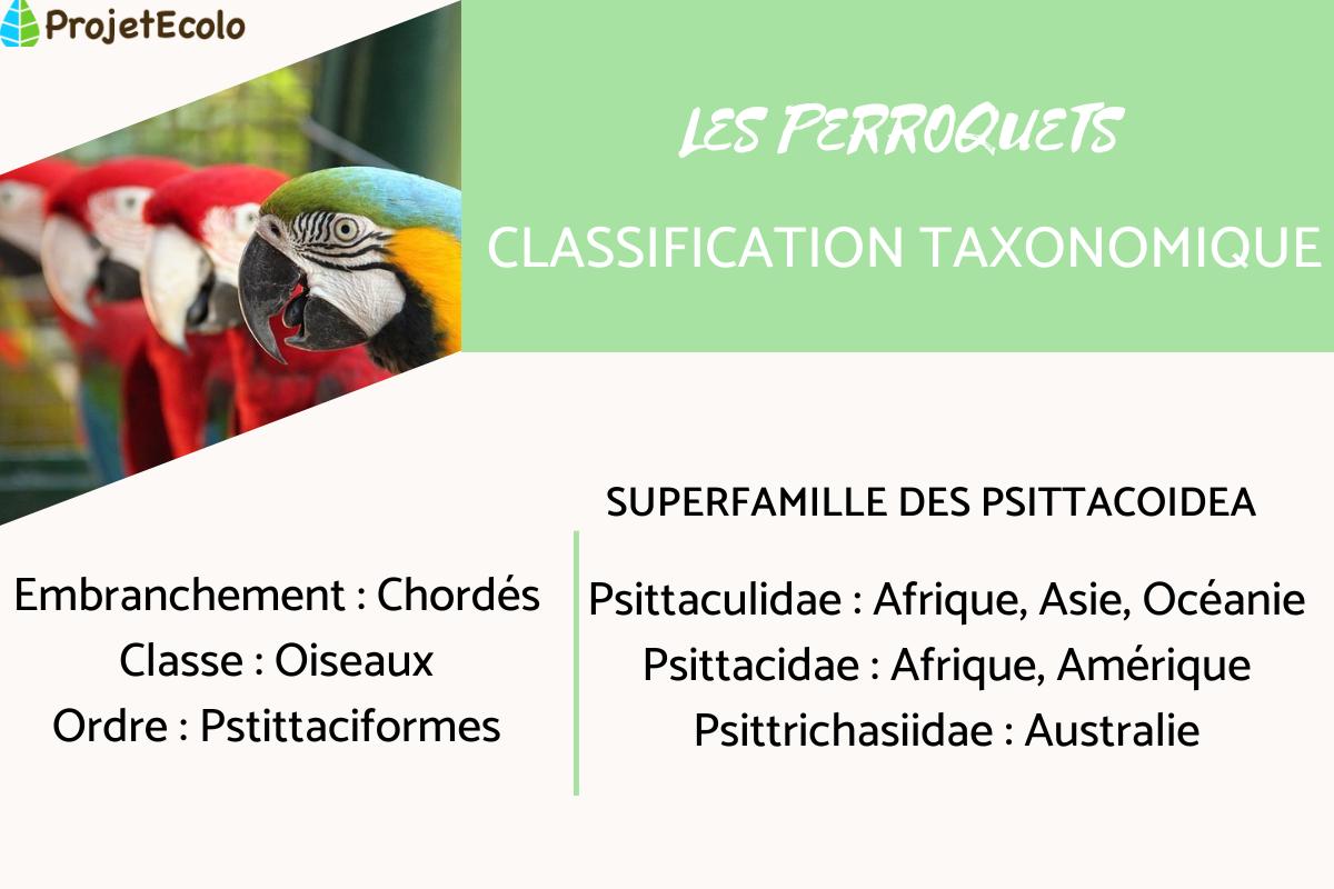 +15 RACES de PERROQUETS - CLASSIFICATION, NOMS et PHOTOS