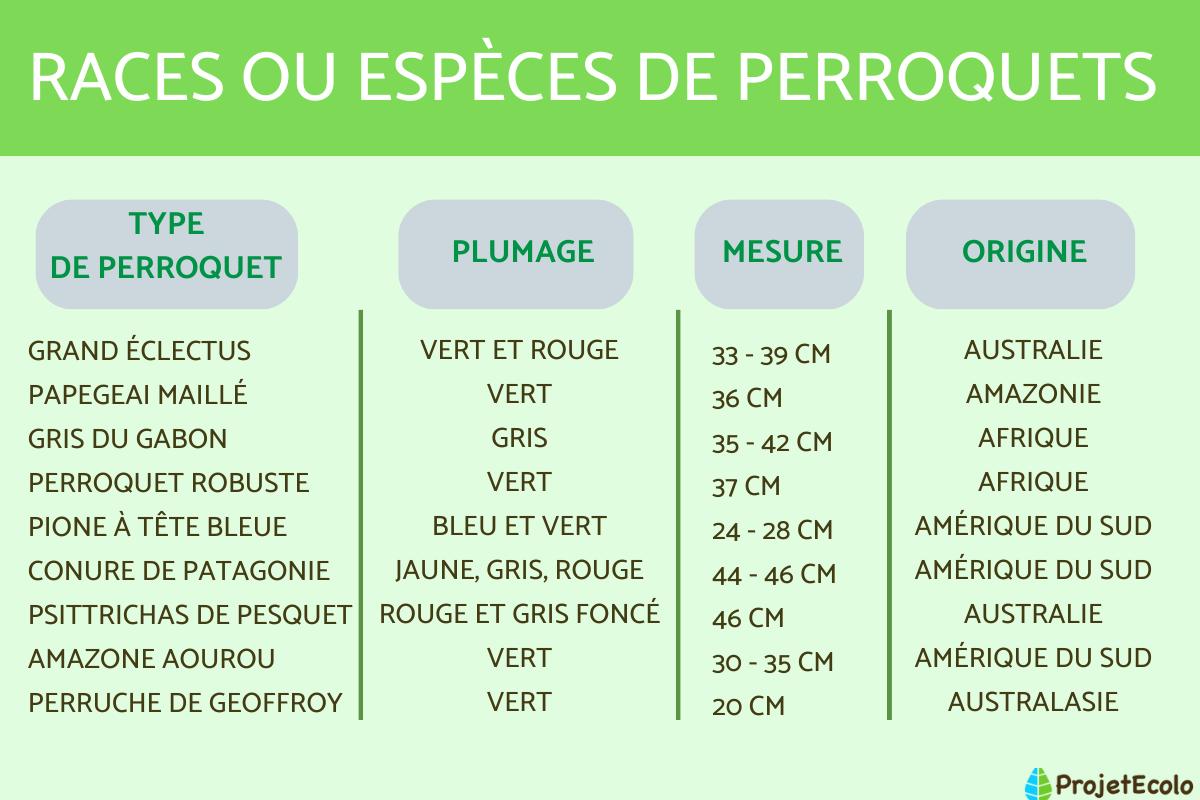+15 RACES de PERROQUETS - CLASSIFICATION, NOMS et PHOTOS