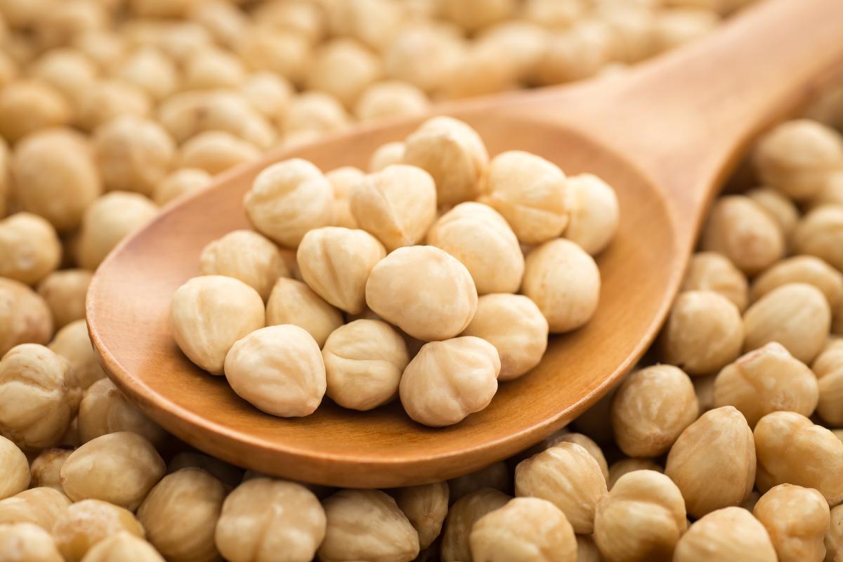 Noisette : bienfaits, vertus et contre-indications - Guide complet Noisette : bienfaits, vertus et contre-indications - Guide complet