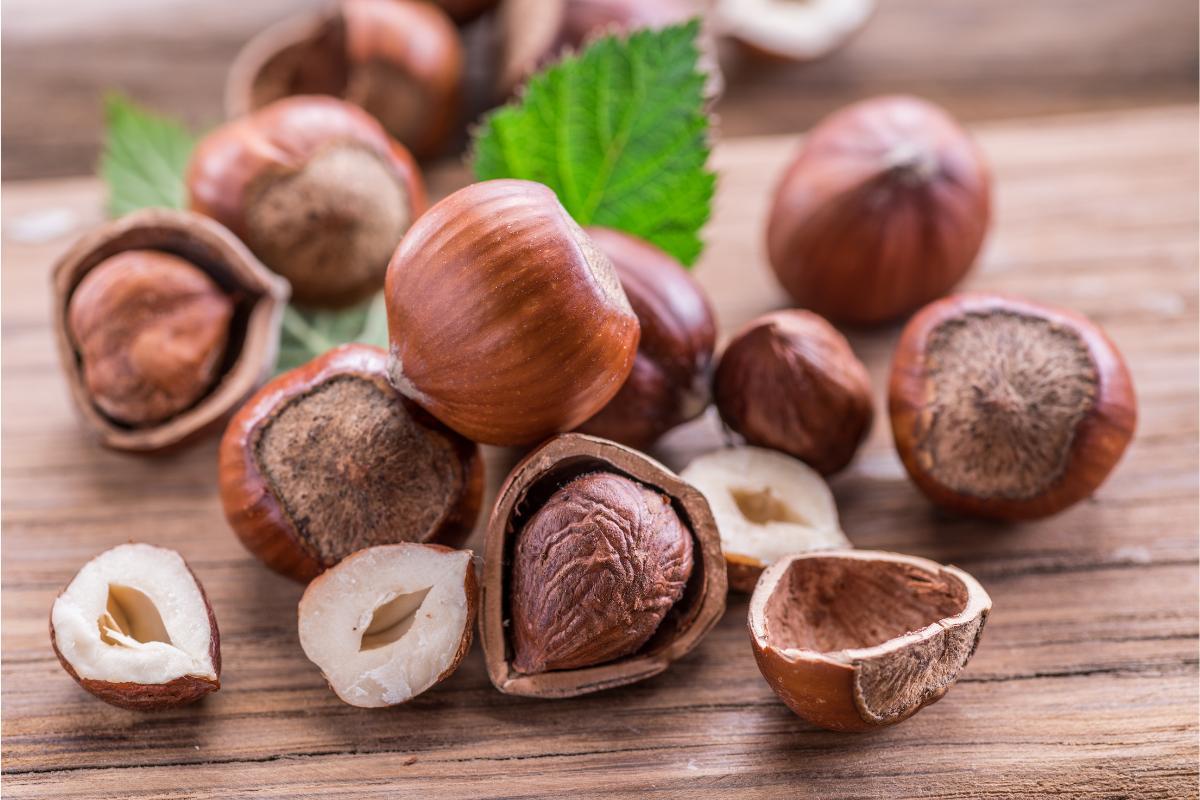 Noisette : bienfaits, vertus et contre-indications - Guide complet Noisette : bienfaits, vertus et contre-indications - Guide complet