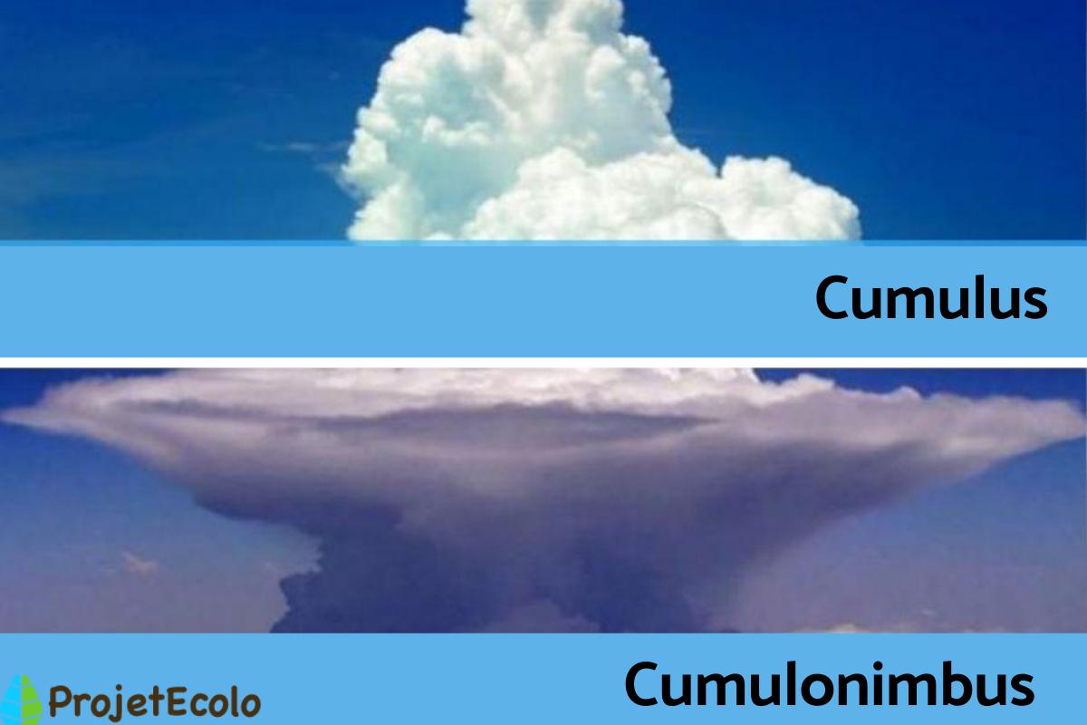 TYPES de NUAGES : Noms, formes et caractéristiques - PHOTOS et VIDÉO