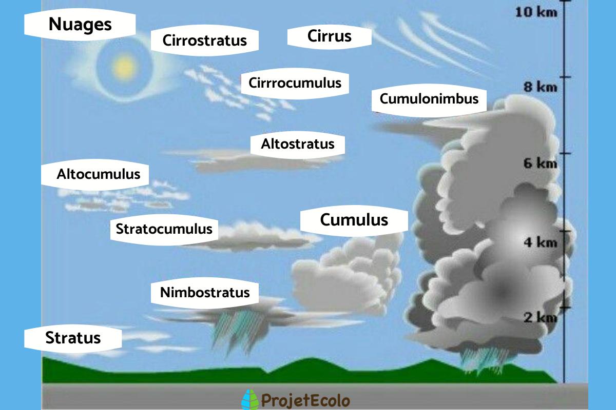 TYPES de NUAGES : Noms, formes et caractéristiques - PHOTOS et VIDÉO