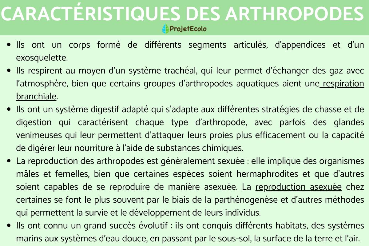 Arthropodes : tableau de classification et liste