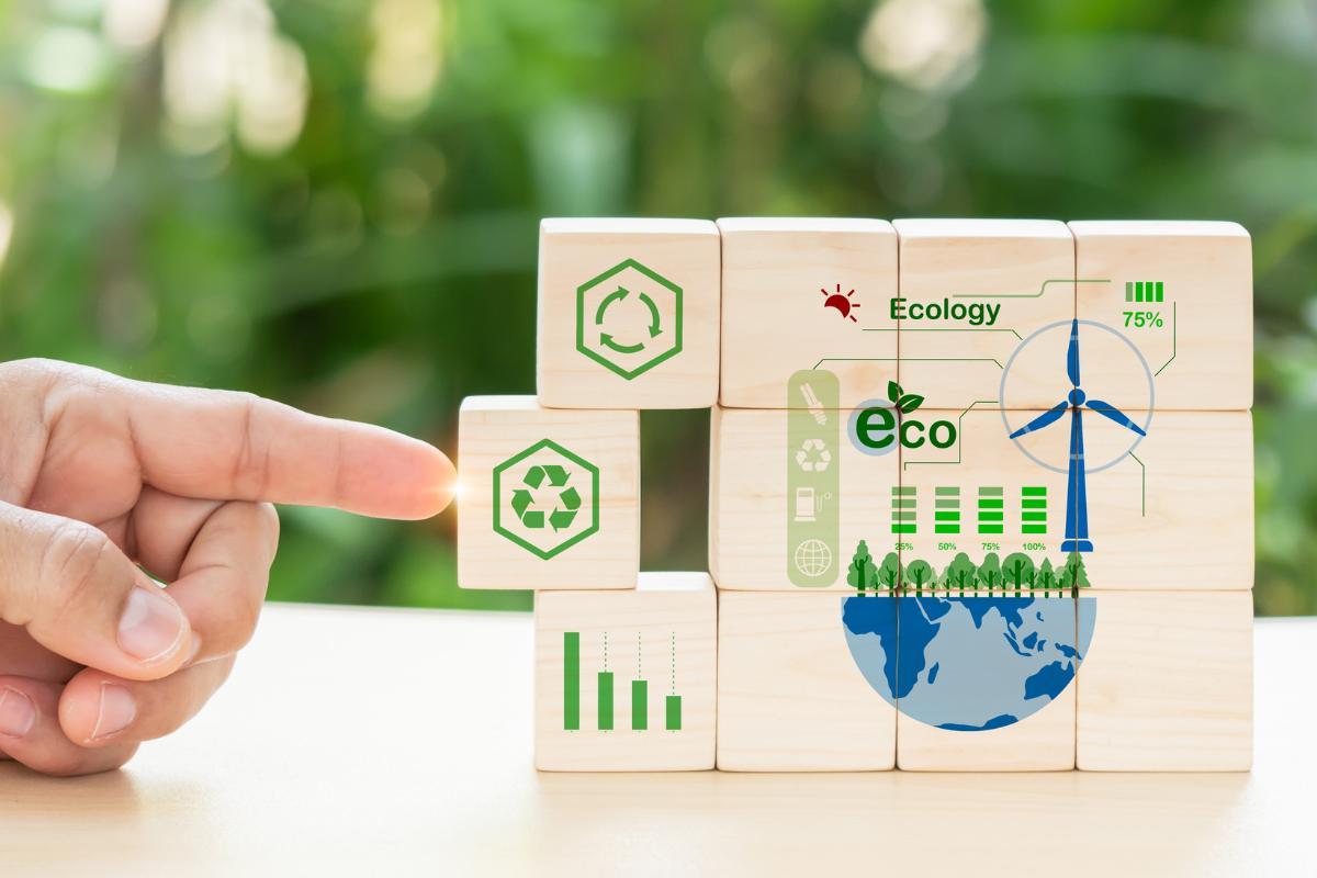 ÉCONOMIE VERTE : DÉFINITION et OBJECTIFS