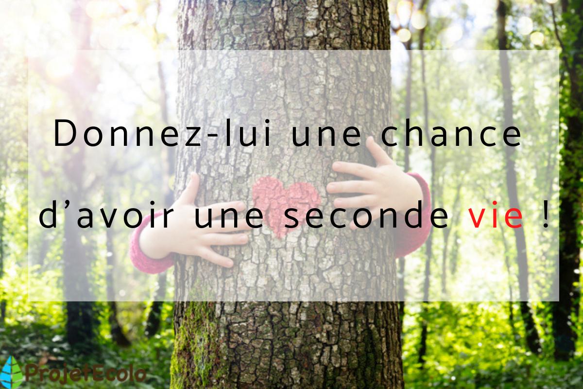 70 Phrases De Recyclage Les Meilleures Phrases