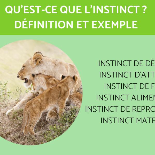 Instinctively Definition