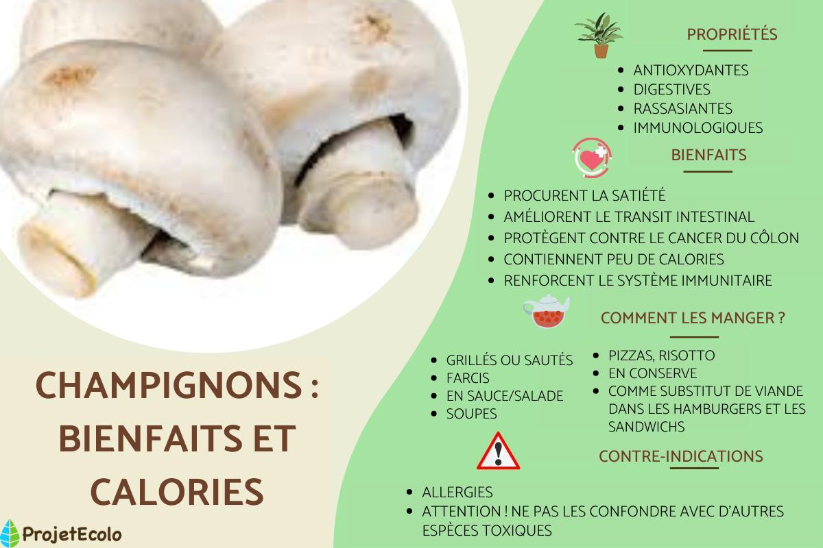 Champignons : bienfaits et calories - Guide complet