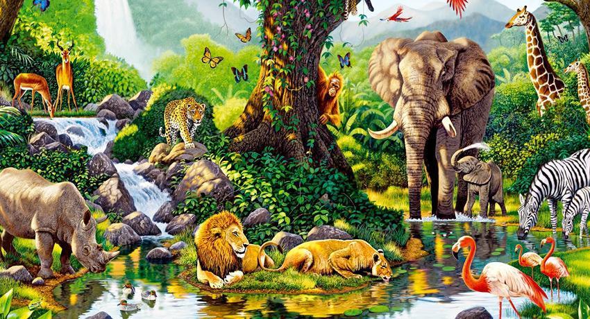 Biotope : Définition et exemples