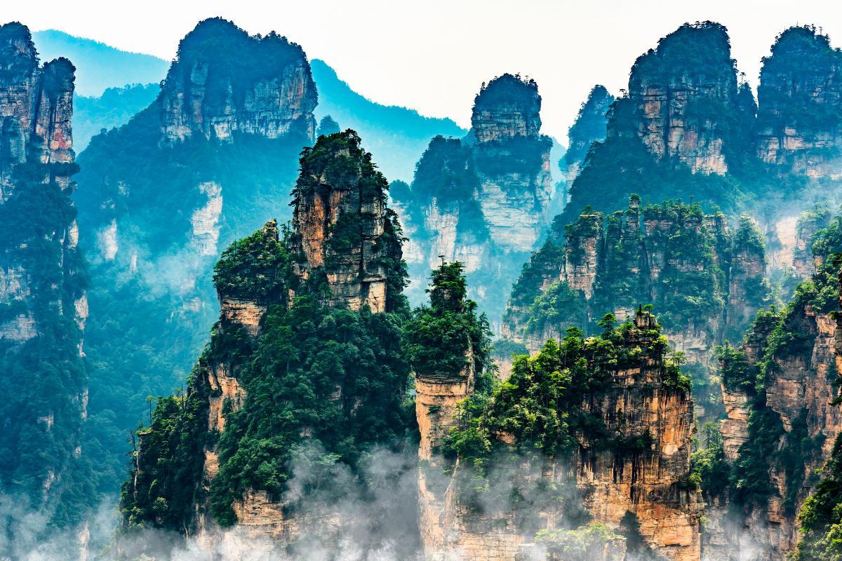 Climat subtropical humide : Température, caractéristiques, flore et faune