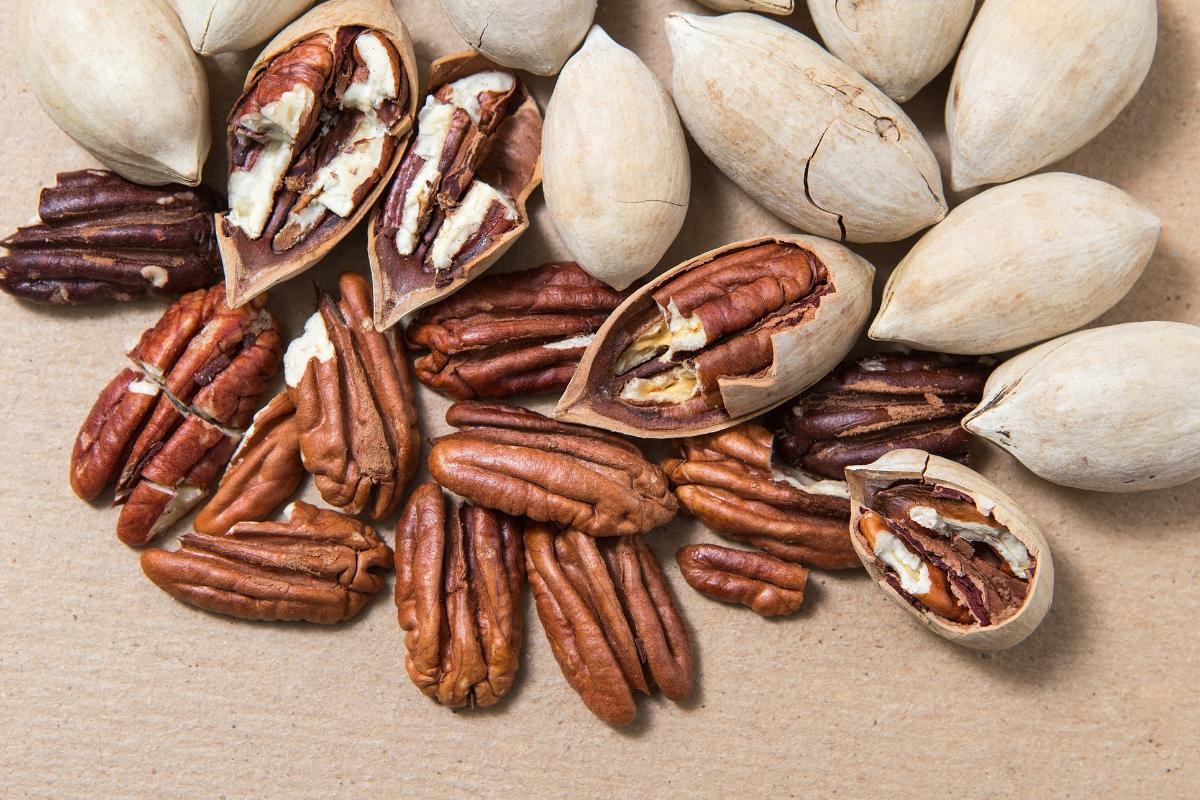 8 types de NOIX - NOMS et PHOTOS