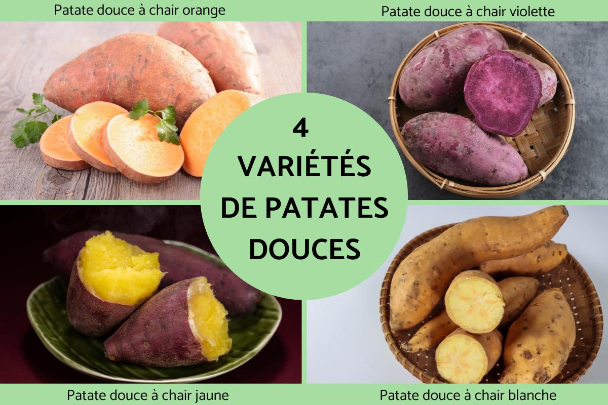 4 Variétés de patates douces - Noms et photos