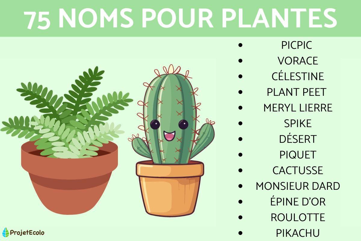 75 Noms pour plantes - Originaux et drôles