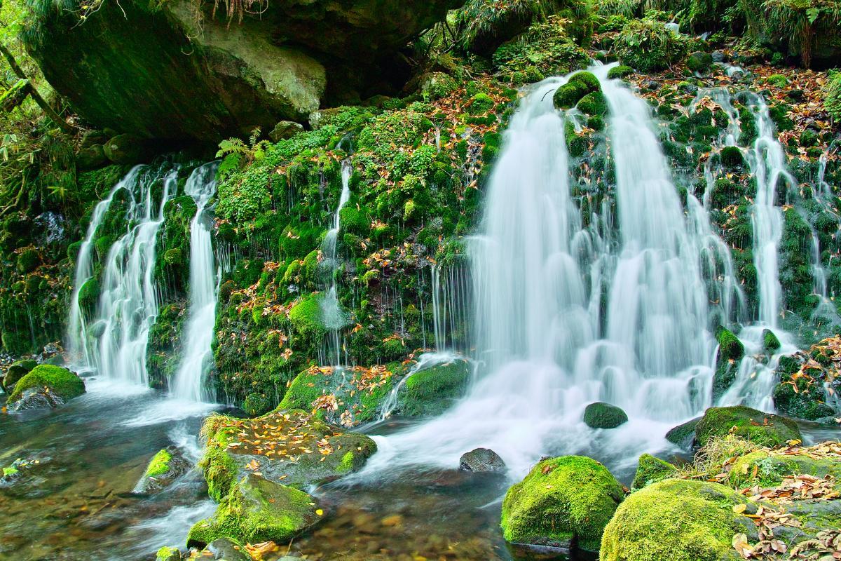 Source d'eau : définition et comment les trouver