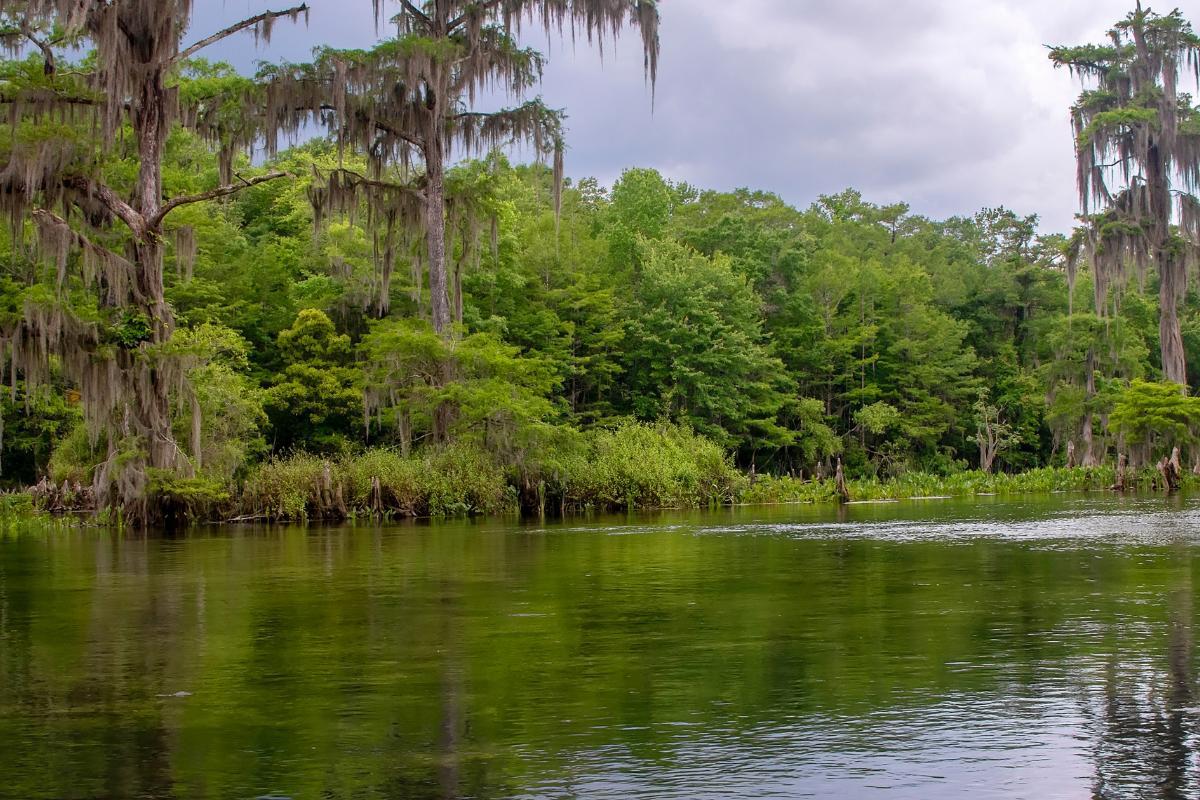 Source d'eau : définition et comment les trouver