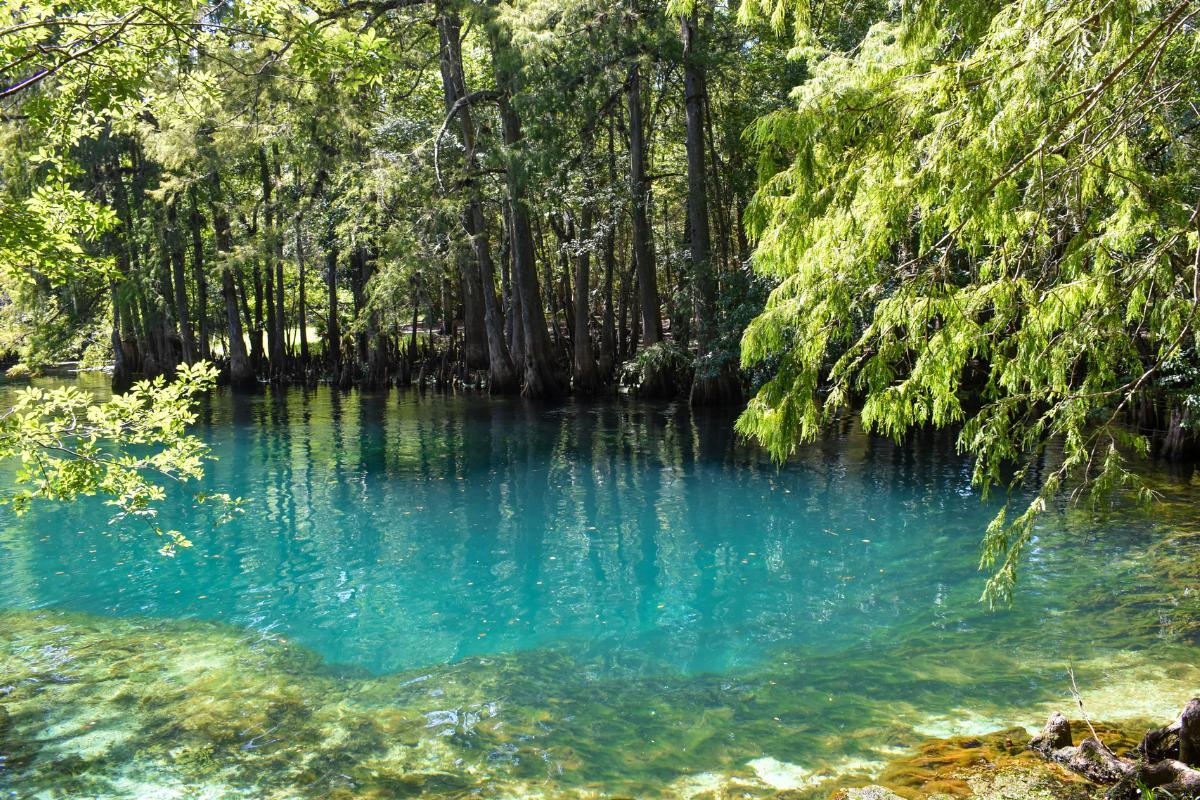 Source d'eau : définition et comment les trouver