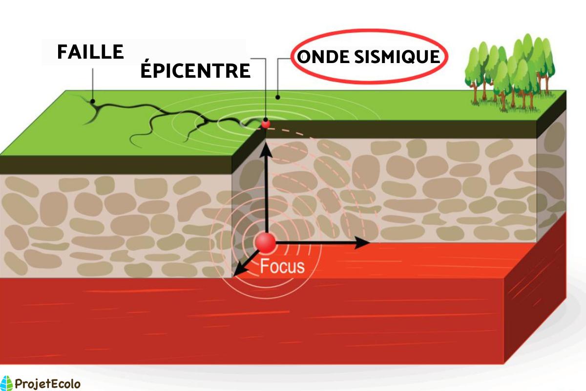Ondes sismiques : Définition et types