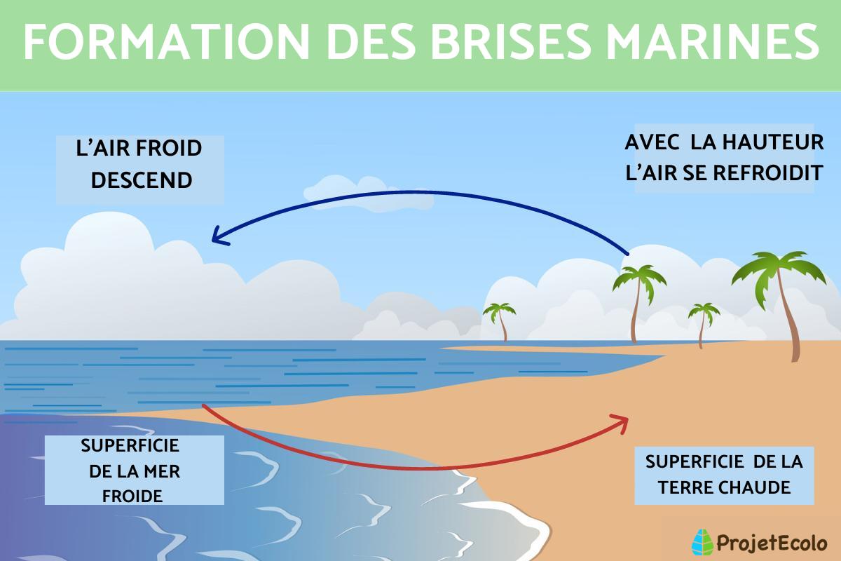Brise marine : Définition, caractéristiques et production