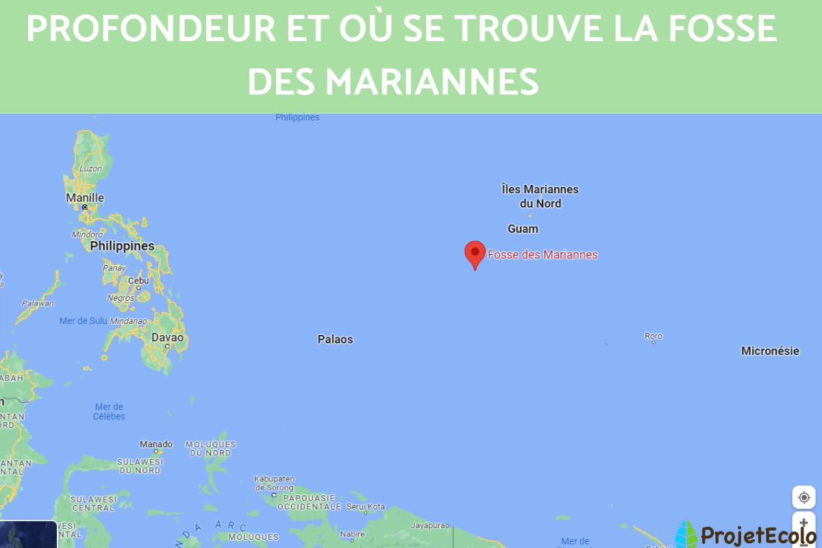 Fosse des Mariannes : Profondeur, où elle se trouve et animaux