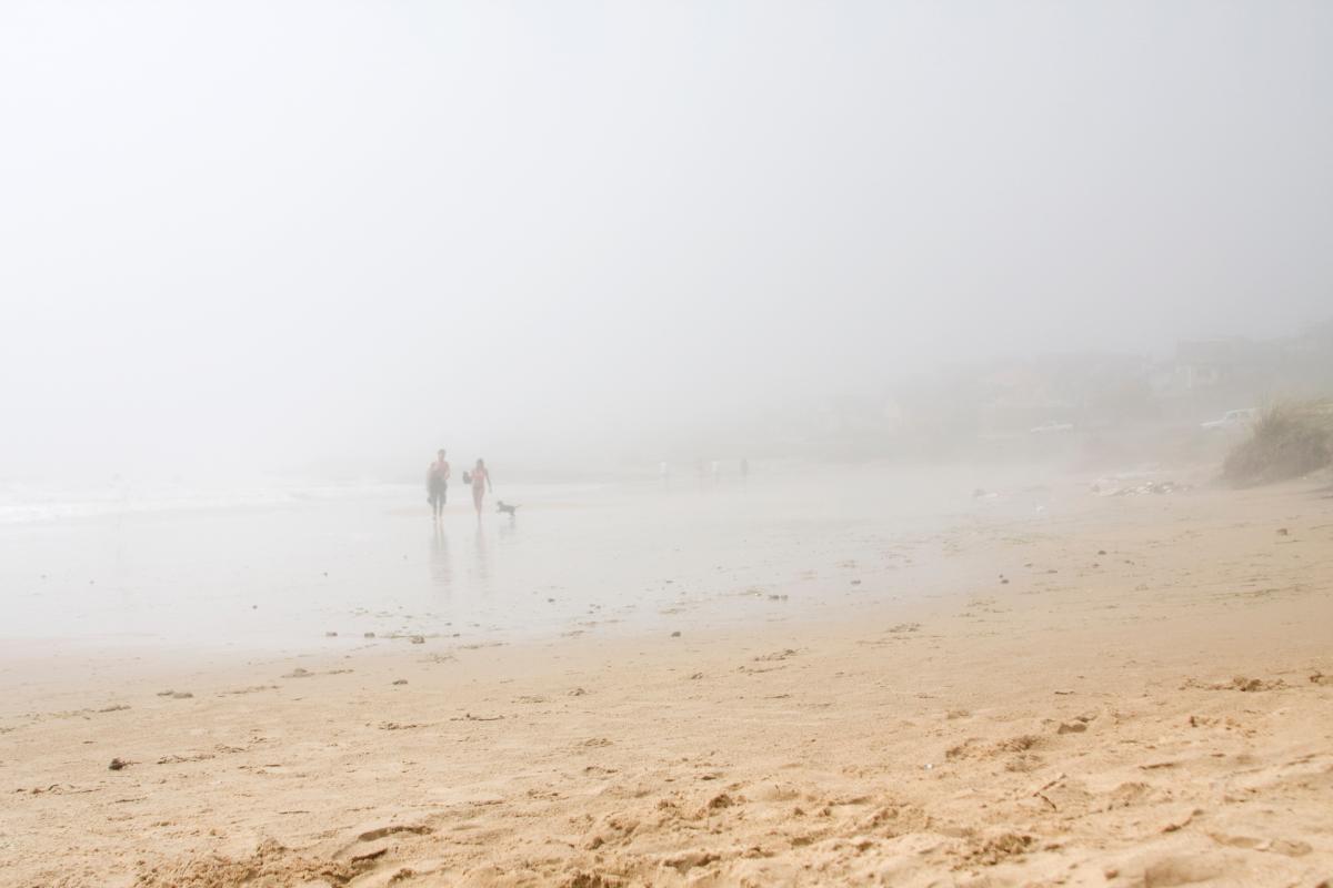 Brume : Définition et comment elle se forme