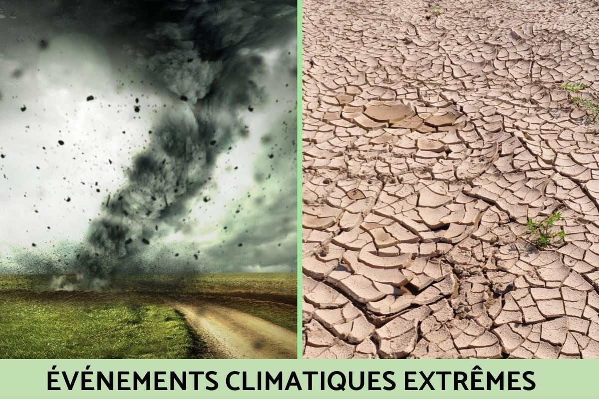 Événement climatique extrême : définition, causes, types et conséquences