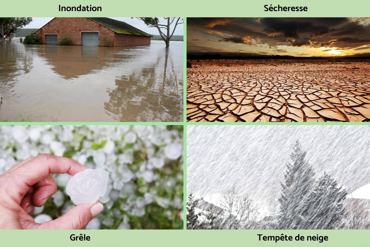 Événement climatique extrême : définition, causes, types et conséquences