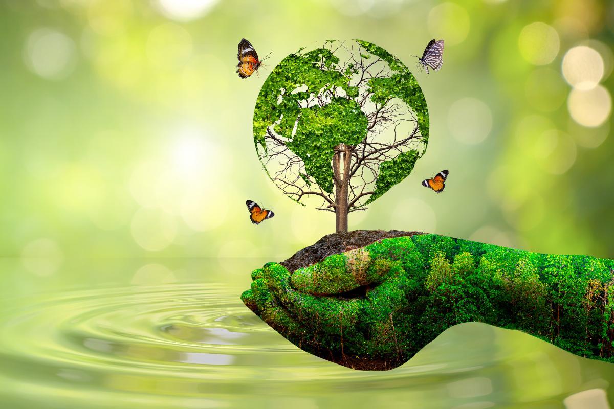 Écologie intégrale : définition et exemples