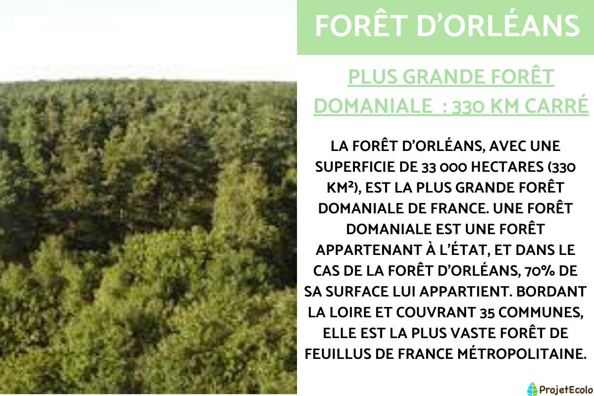 Quelle est la plus GRANDE FORÊT de FRANCE