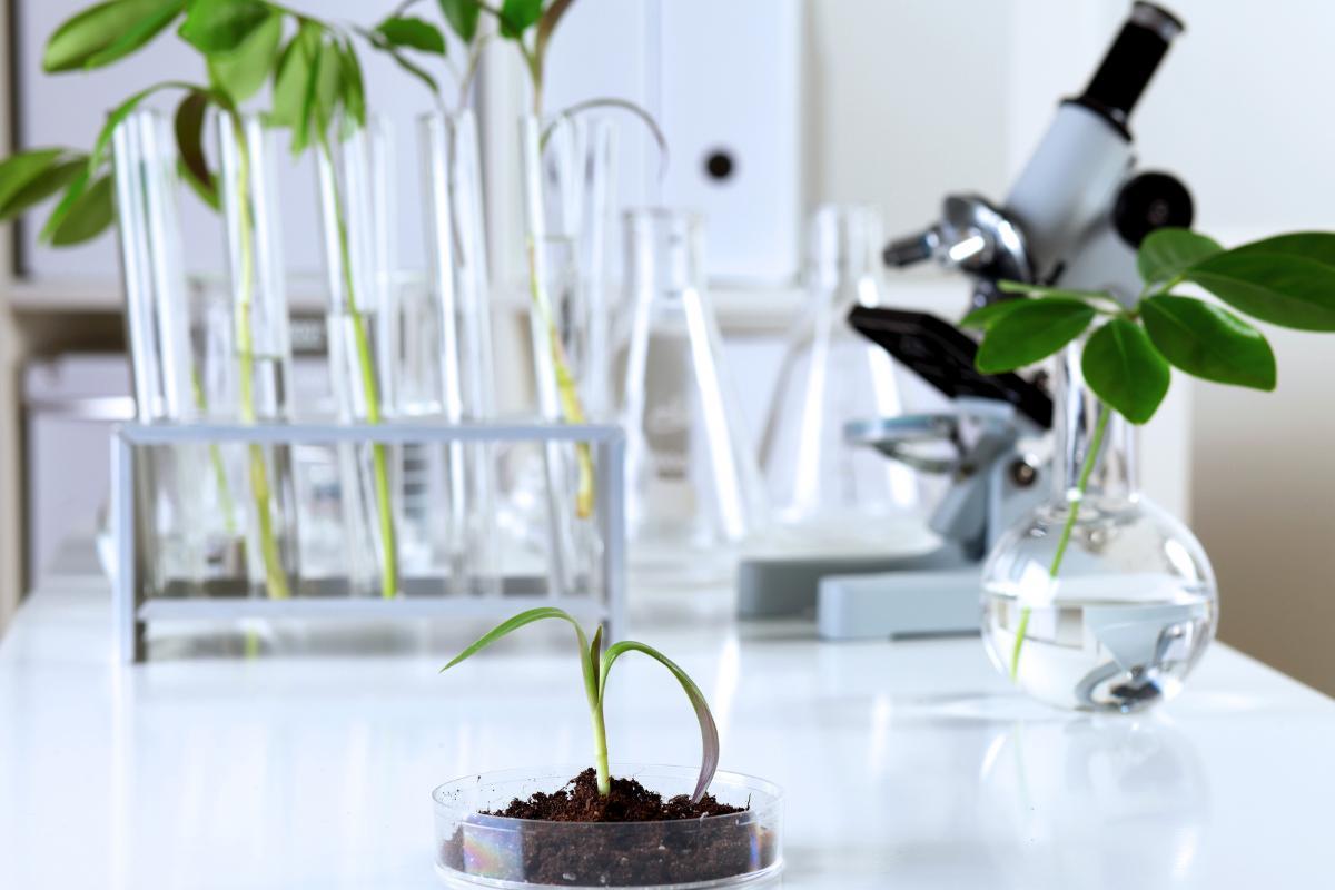 Biotechnologie verte : Définition et applications
