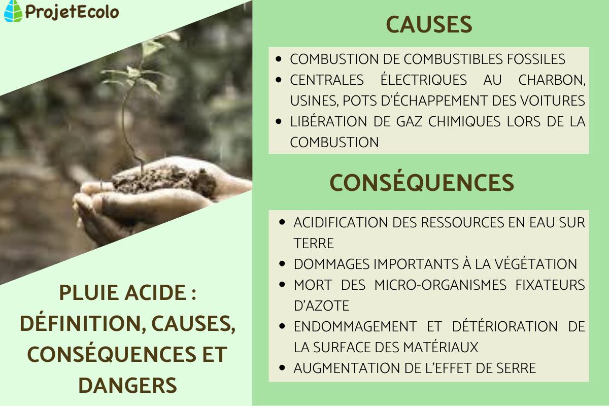 Pluie acide : définition, causes, conséquences et dangers