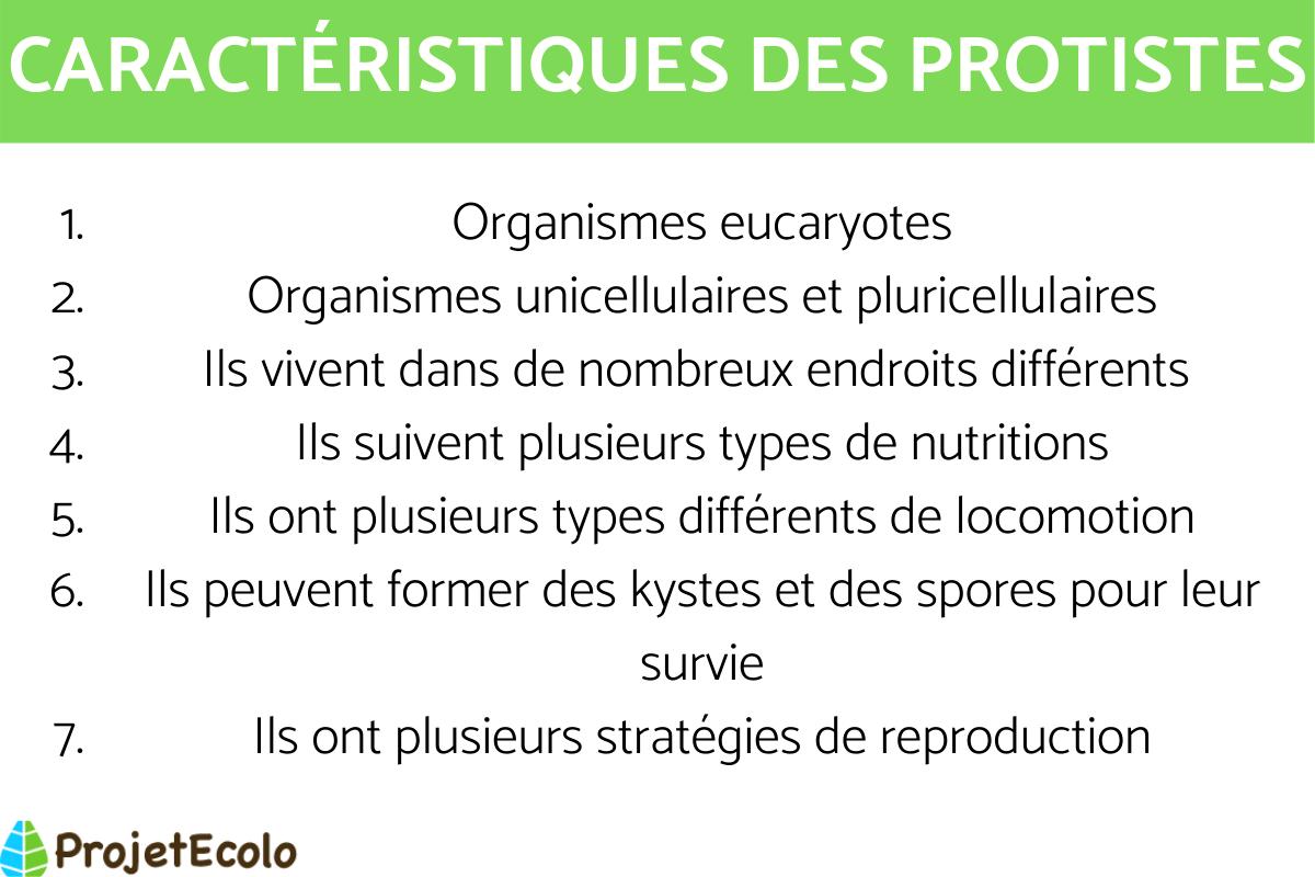 Protiste ou Protista : Définition, caractéristiques, classification et ...
