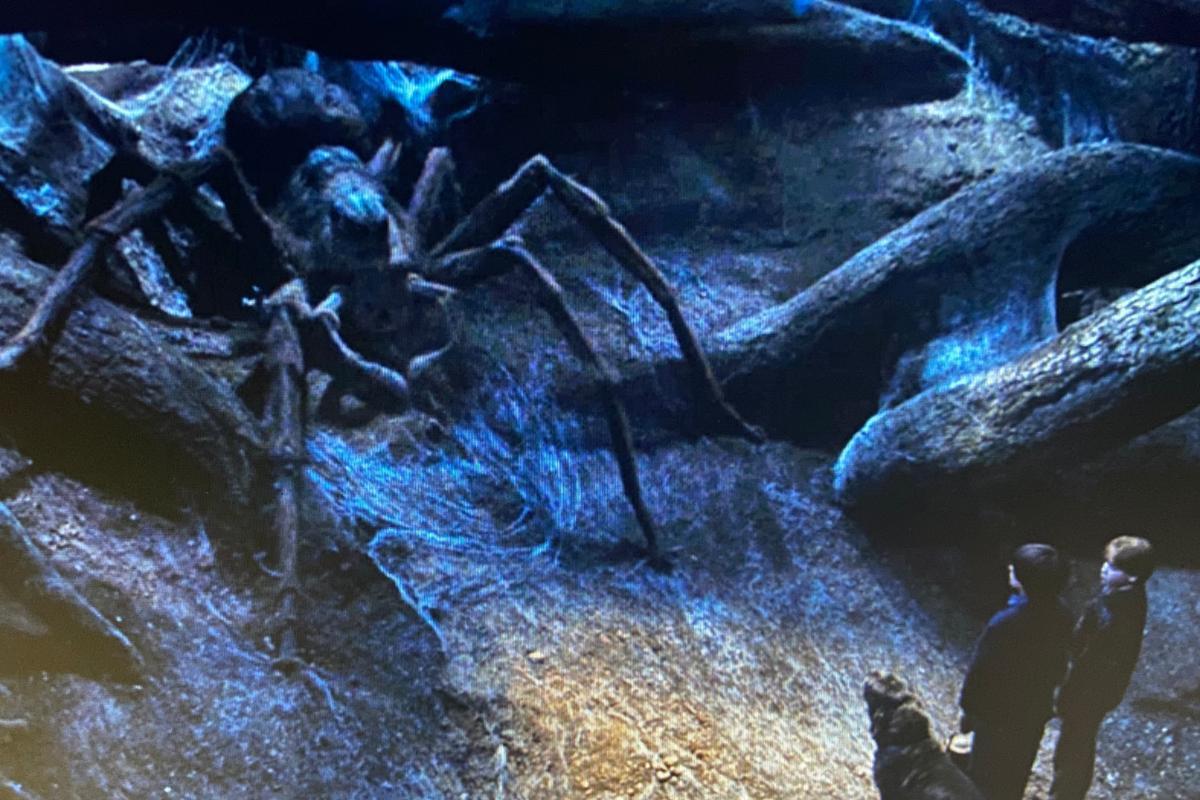 13 Animaux d'Harry Potter - Noms des ANIMAUX FANTASTIQUES avec PHOTOS