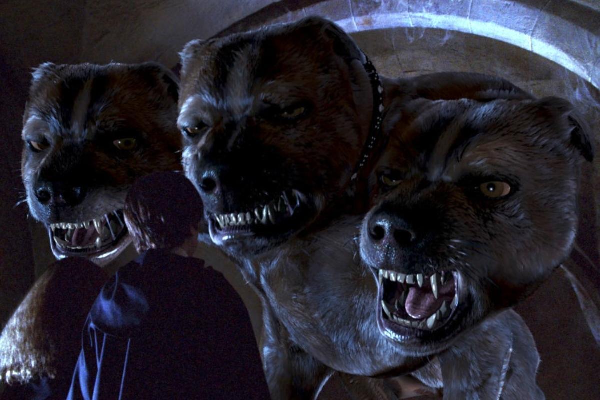 13 Animaux d'Harry Potter - Noms des ANIMAUX FANTASTIQUES avec PHOTOS