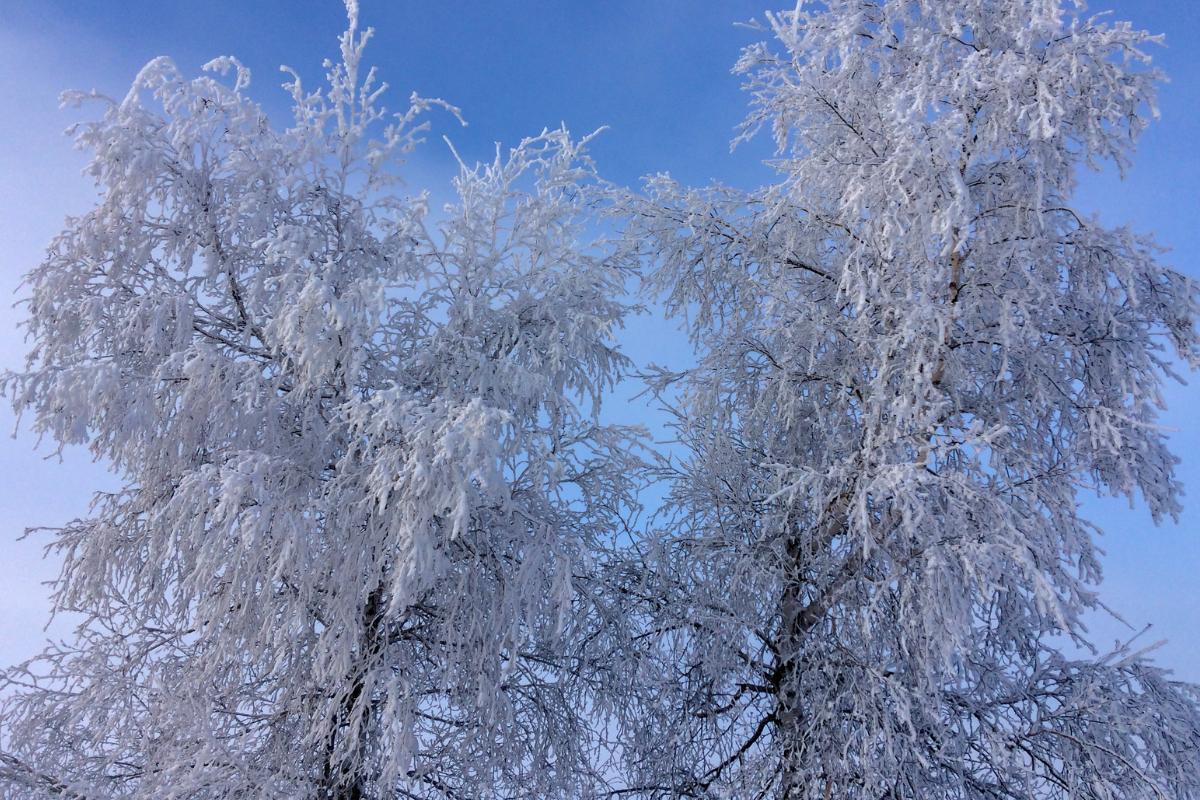 Givre : Définition, formation et types