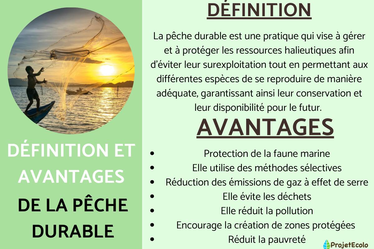 Pêche durable : Définition, bienfaits et types