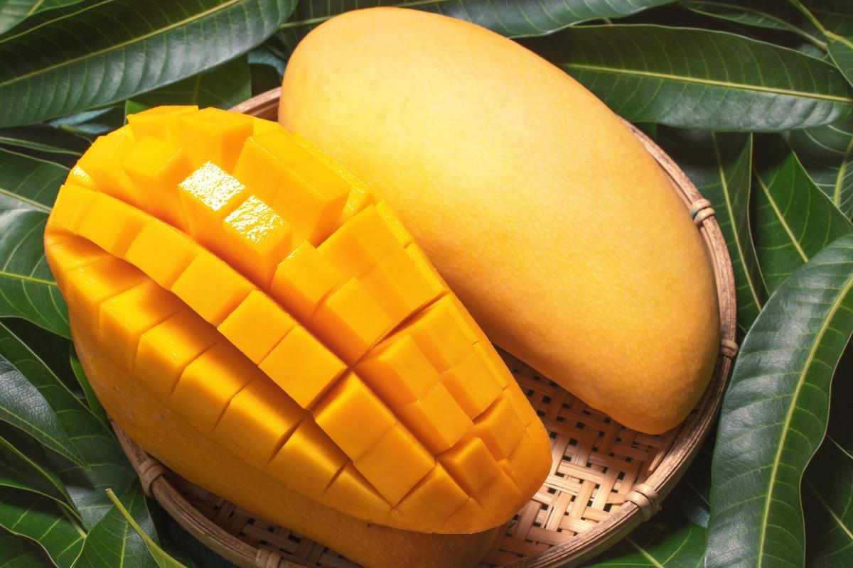 MANGUE : BIENFAITS ET MÉFAITS - Guide complet des vertus de la mangue ...