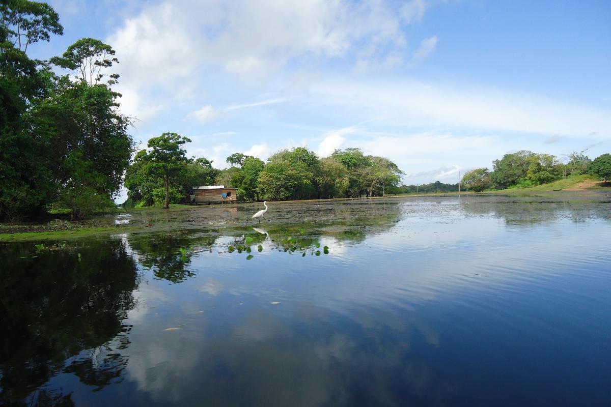 Eaux de surface : Définition et exemples