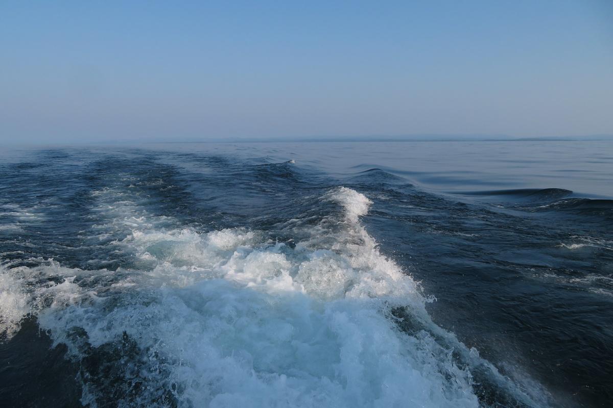 COURANTS MARINS :CARTE, DÉFINITION, NOM et FORMATION