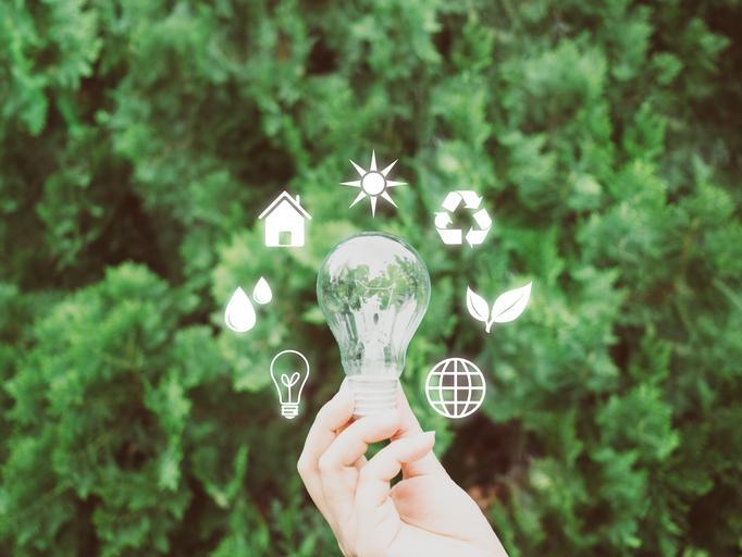 Services écosystémiques : Définition, types et exemples