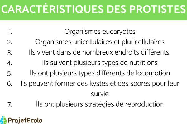 6 TYPES de CELLULES et LEURS caractéristiques - avec SCHÉMA