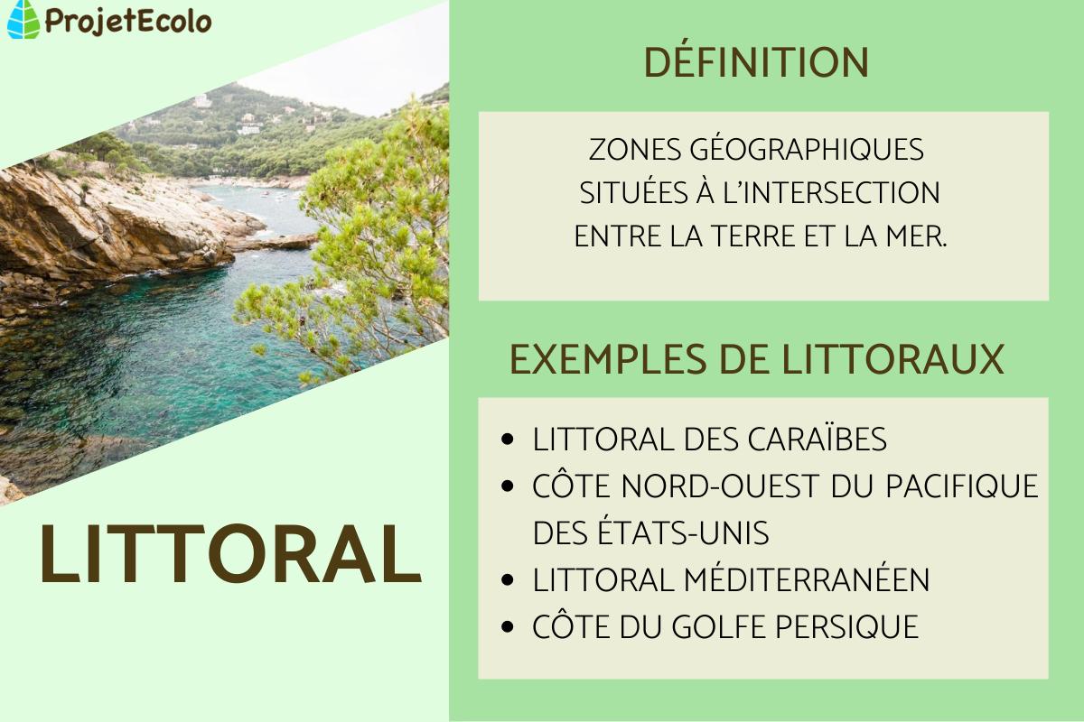 LITTORAL : DÉFINITION, TYPES, ÉCOSYSTÈMES et EXEMPLES
