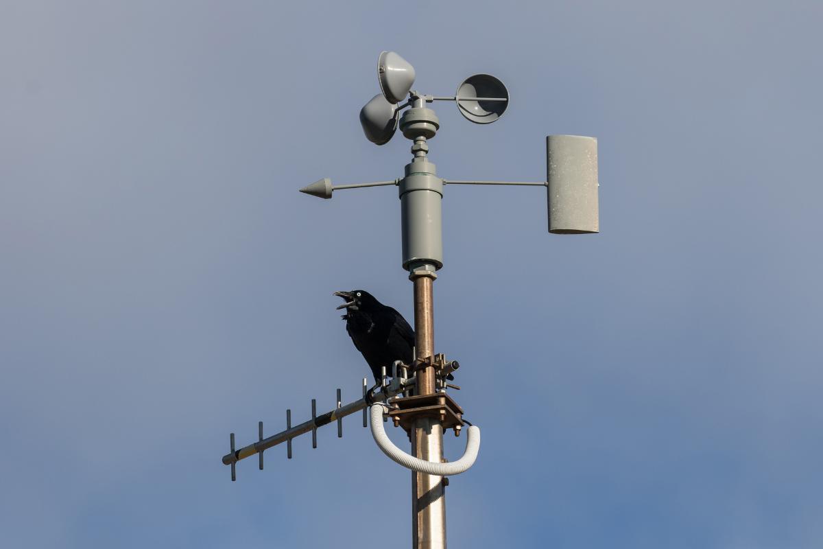 Anémomètre : Définition, à quoi ça sert et comment ça fonctionne