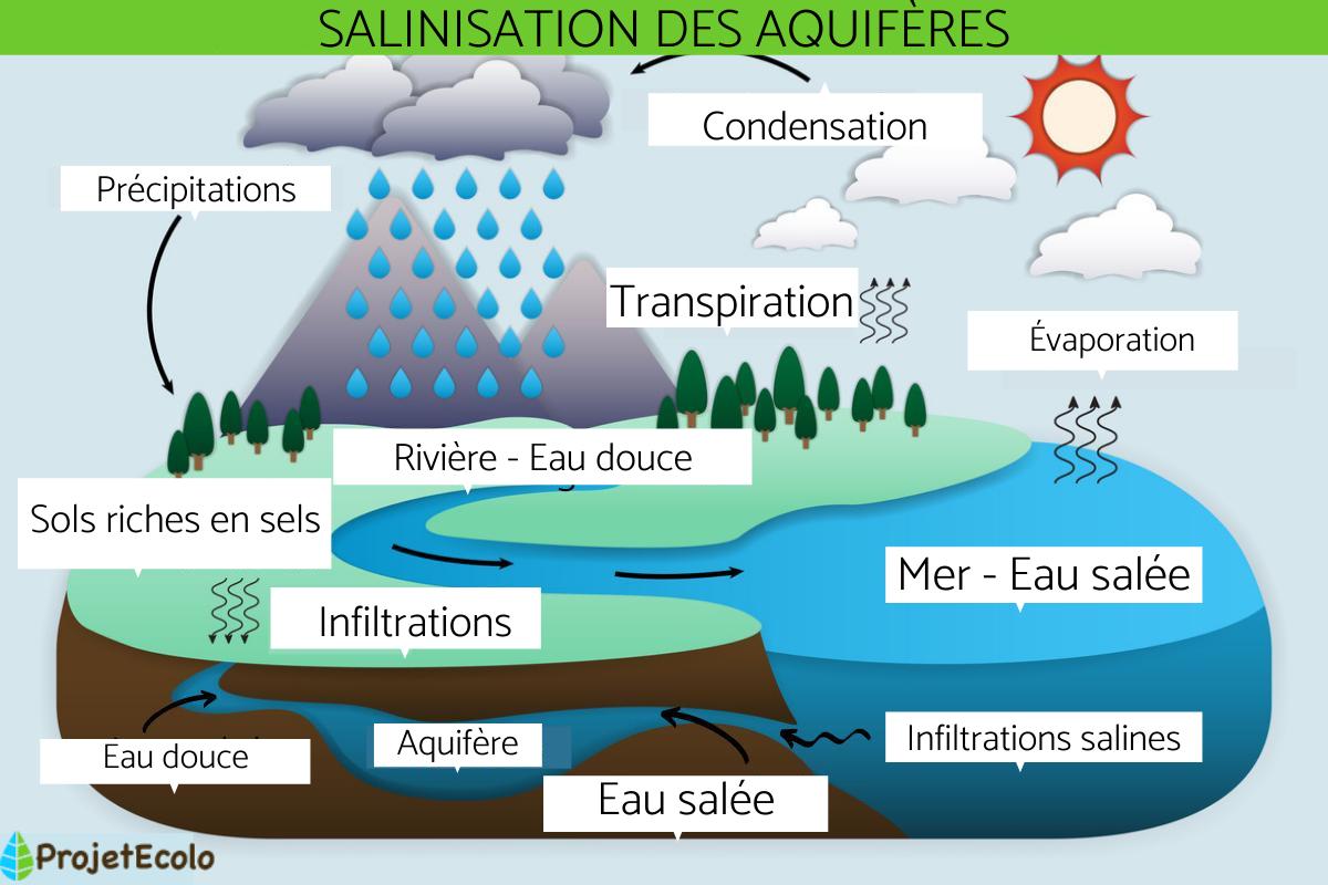 SALINISATION DES AQUIFÈRES : ce qu'elle est et pourquoi elle se produit