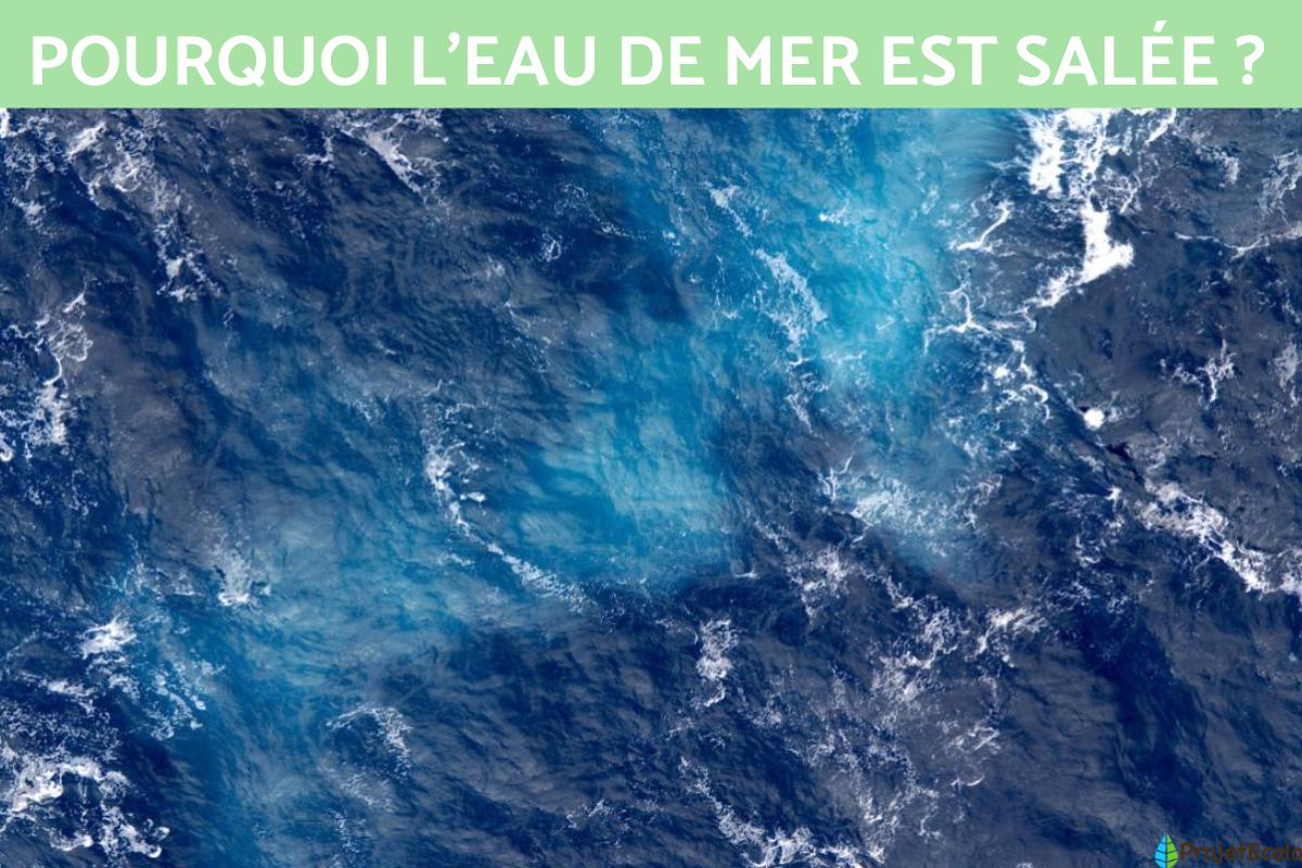 Pourquoi l'eau de la mer est salée