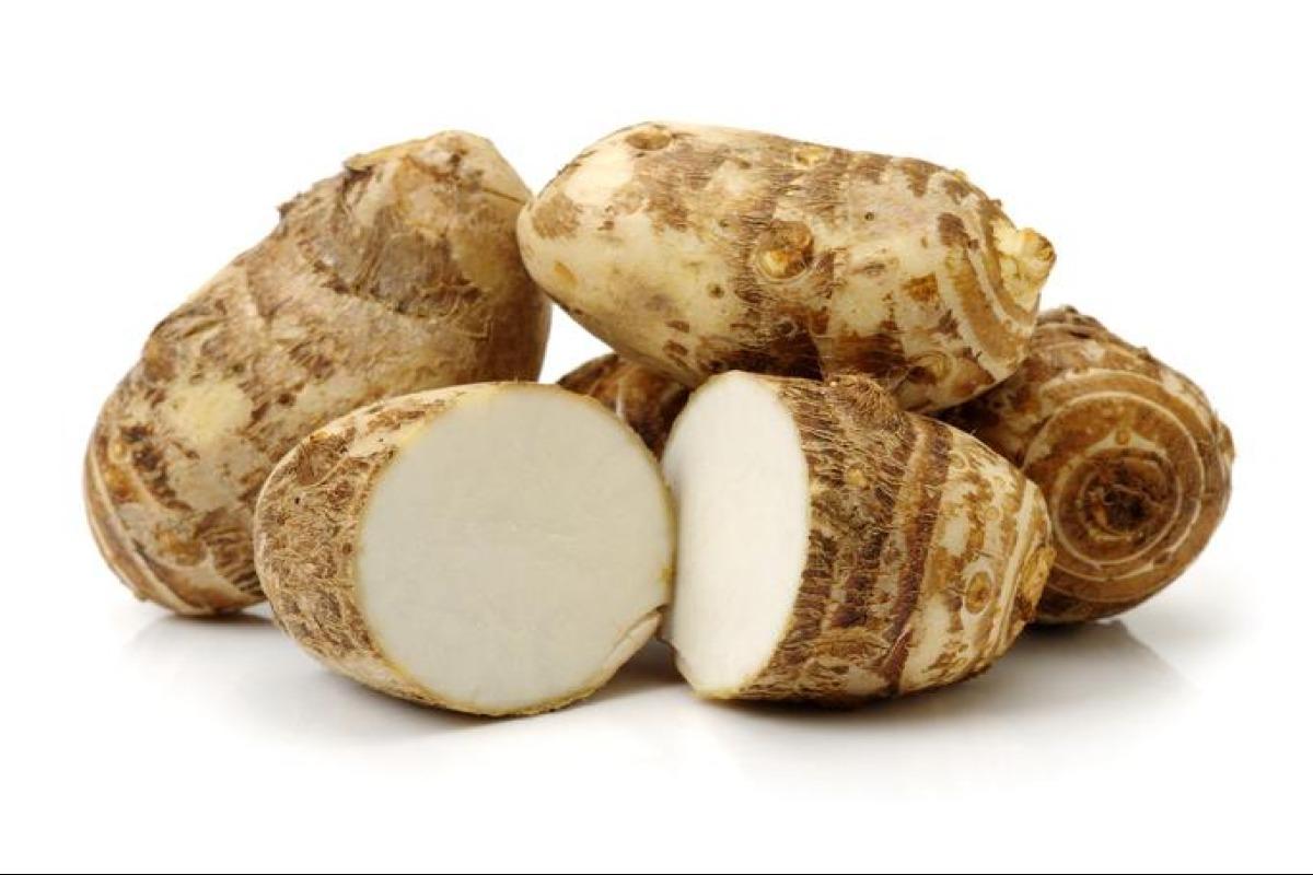 TUBERCULES : définition et 25 exemples avec photos